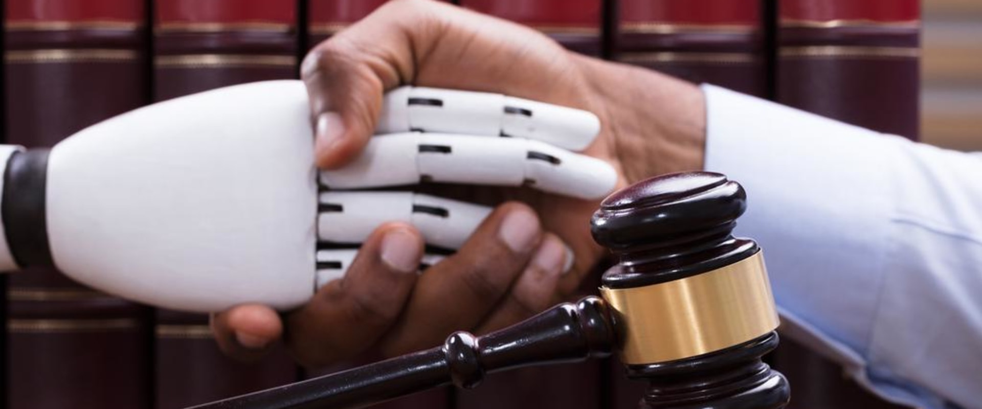 The Potential of Artificial Justice Network in Criminal Cases
